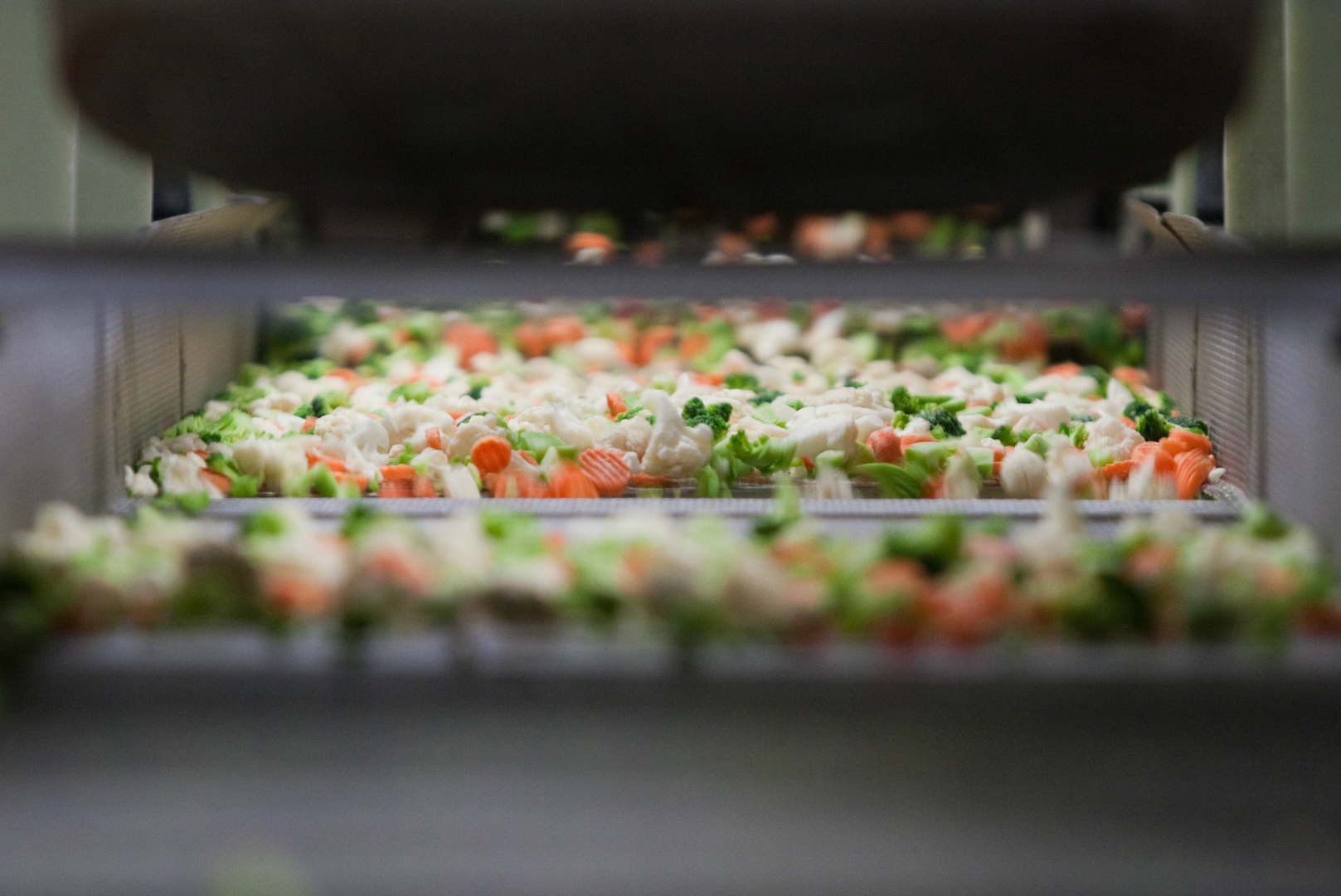 About | Cold Storage | Food Packaging